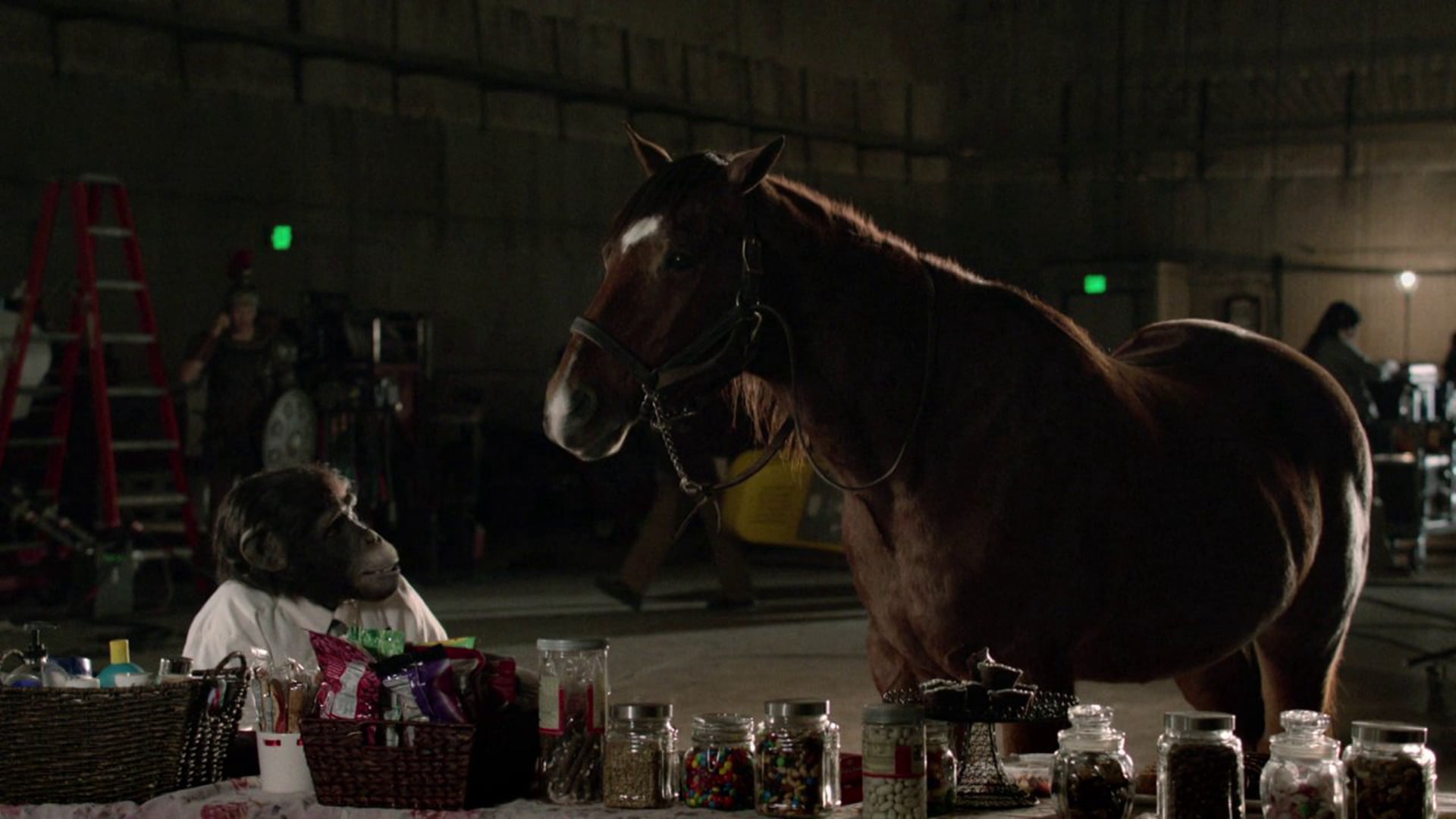 Adobe - Animals - Goodby Silverstein & Partners